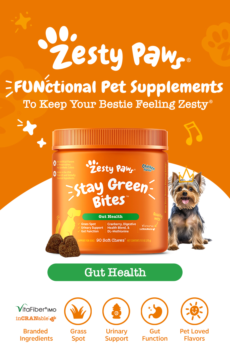 Zesty Paws Stay Green Bites for Dogs Gut Health - Chicken Flavor (90 ...