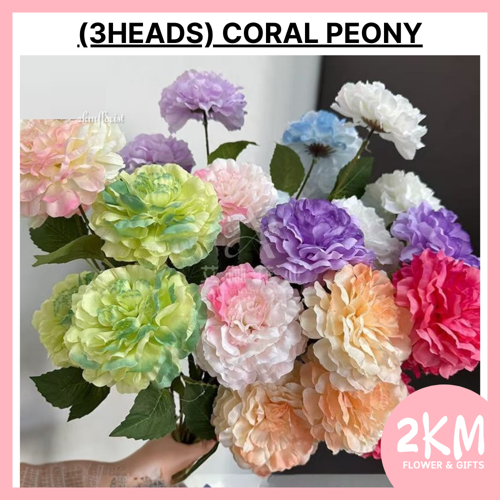 (3HEADS) CORAL PEONY FLOWER Artificial Fake Plant Bouquet Plastic ...