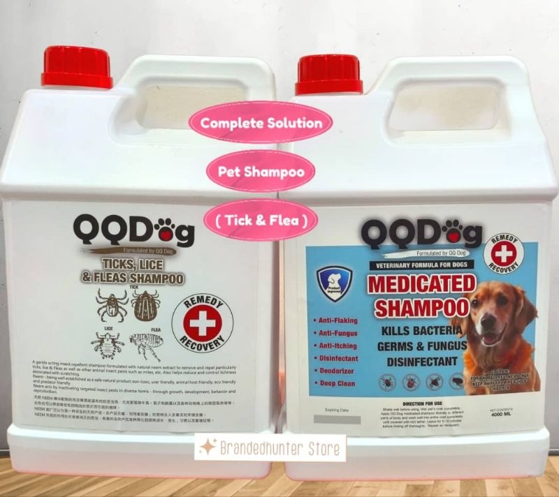 QQ Dog Shampoo Tick, Lice, Flea Medicated Recovery ( 4L ) | Shopee ...