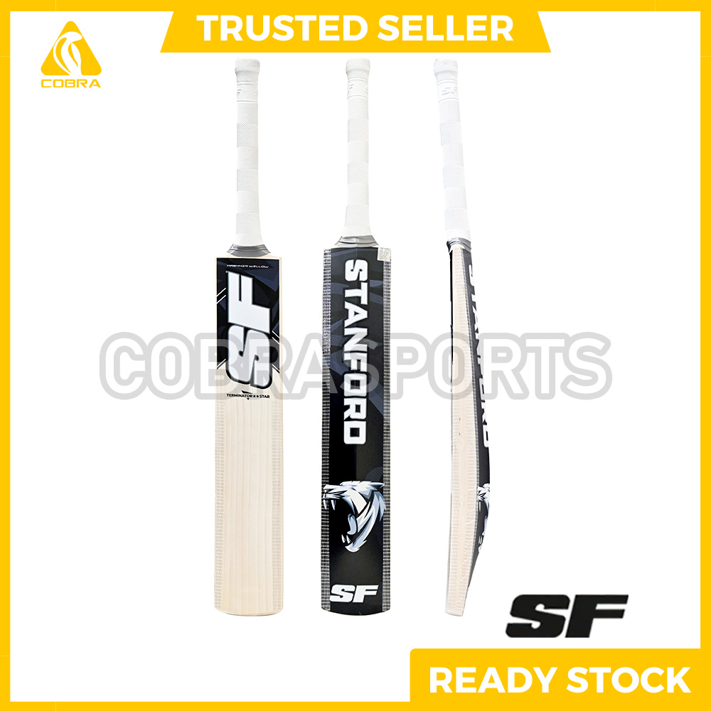 Stanford Terminator 2 Star Kashmir Willow Cricket Bat - SH SIZE ...