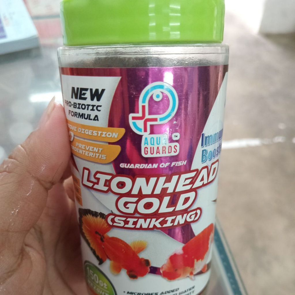 Lion Head Gold Sinking 150g (size mini ) | Shopee Philippines