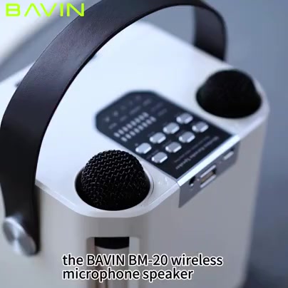 BAVIN BM20 Professional Karaoke Bluetooth Portable Speaker Dual ...
