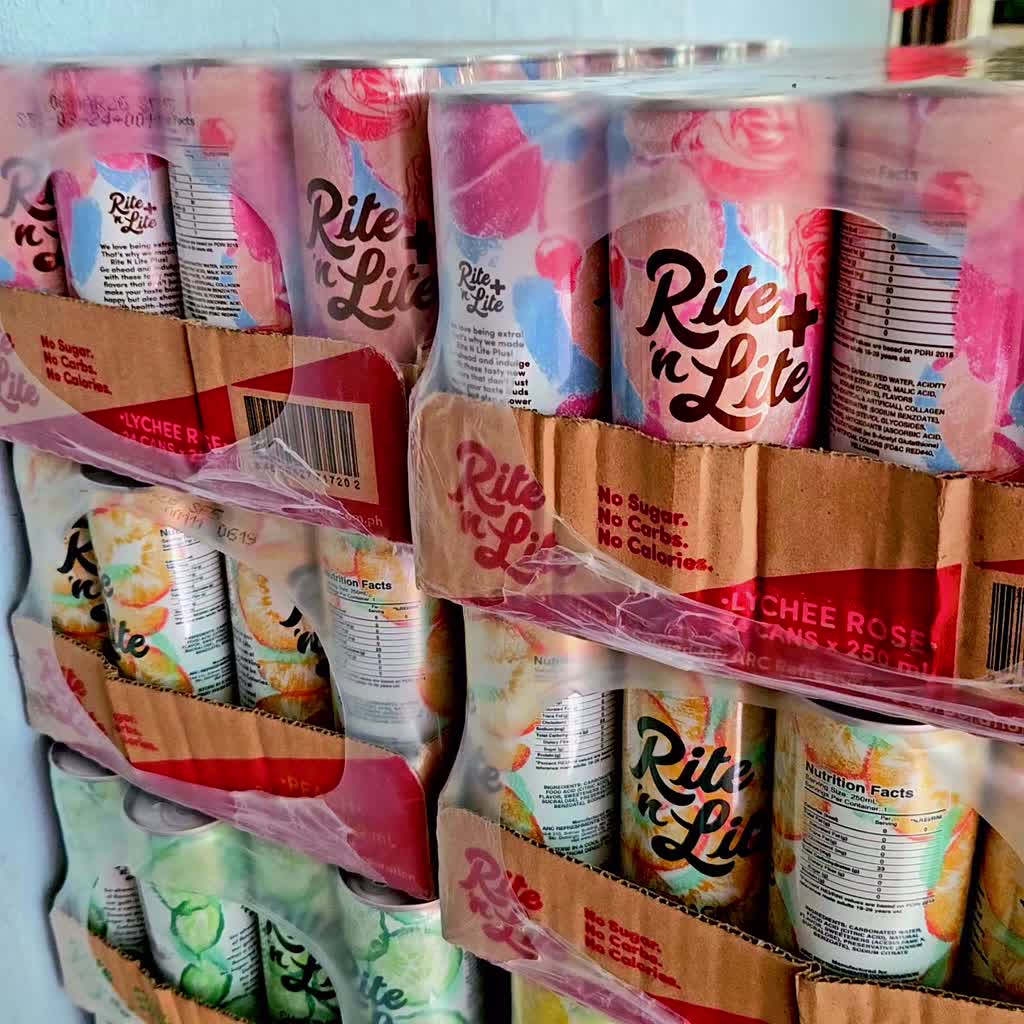 Rite N Lite in 250ML Can (8 FLAVORS TO CHOOSE FROM) | Shopee Philippines