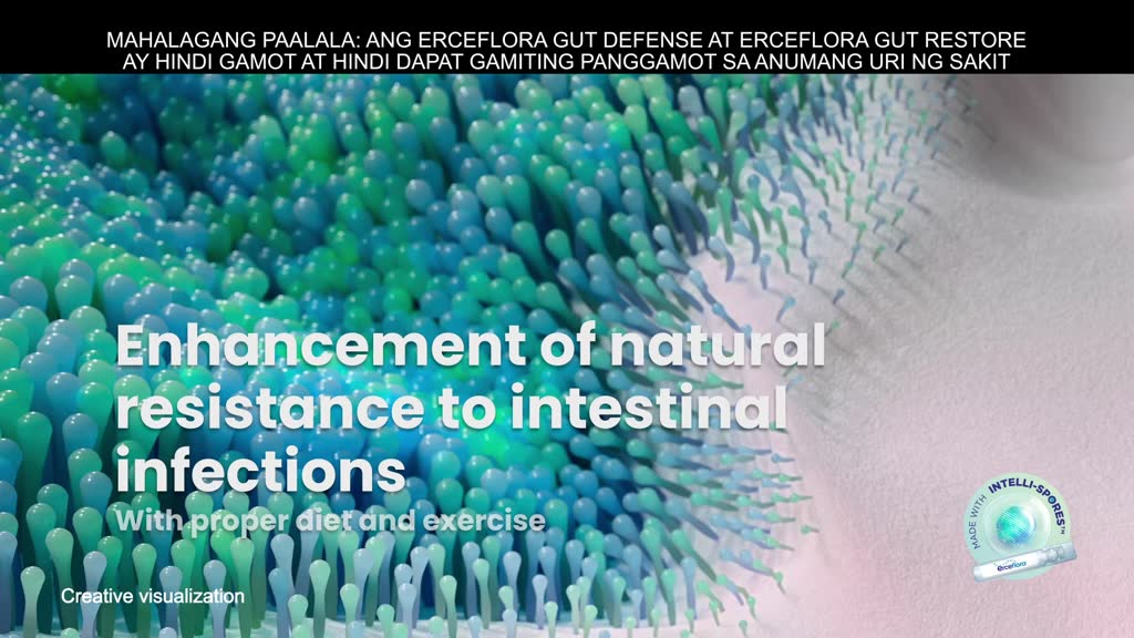 Erceflora Gut Defense Probiotic Daily Preventive Support Supplement For ...