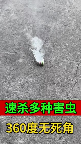 6pcs Powerful Smoke Insect Agent Herbal Insecticide Cockroach Insect ...