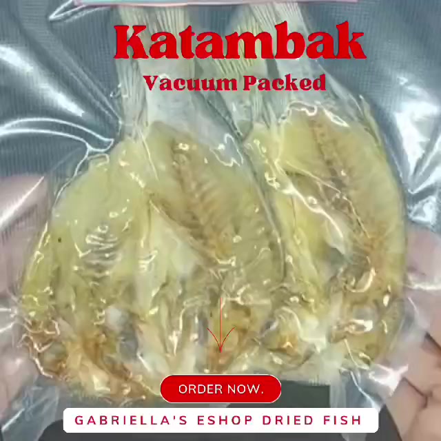 Katambak (Anopin) Dried Fish - 250g Vacuum Packed Pinikas Daing ...