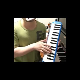 Melodica Horn 37 Keys Wind Instrument with Hard Case Blue,Pink, Red ...