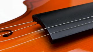 RIXTON Violin 4/4 Full Set Complete Set of Rosin Free Packaging ...