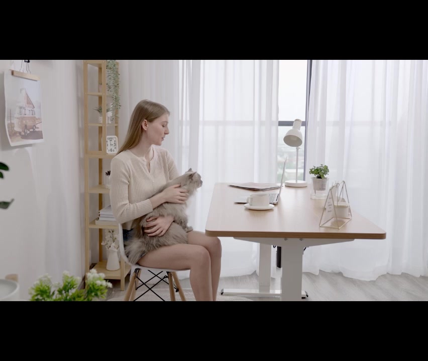 FlexiSpot E2 Electric Standing Desk Height Adjustable Table | Shopee ...