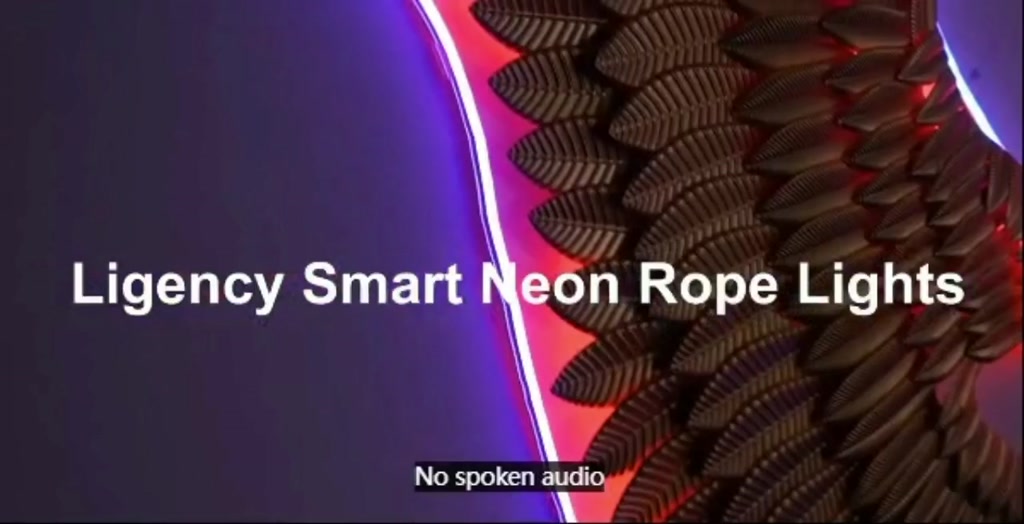 TUYA LED Strip Lights Wifi 24V RGBIC Neon Rope Lights With Music Sync ...