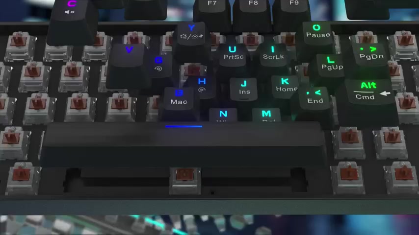 Zeus 61 Key Wired Type C Mechanical Keyboard With Blue Switch RGB ...