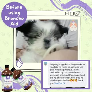 UBO SIPON LAGNAT ASO PUSA KENNEL COUGH Broncho Aid 60ML FEVER,COUGH ...