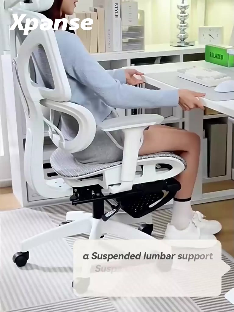 Xpanse W203 Ice Silk Mesh Ergonomic Office Chair Computer Study Chair ...