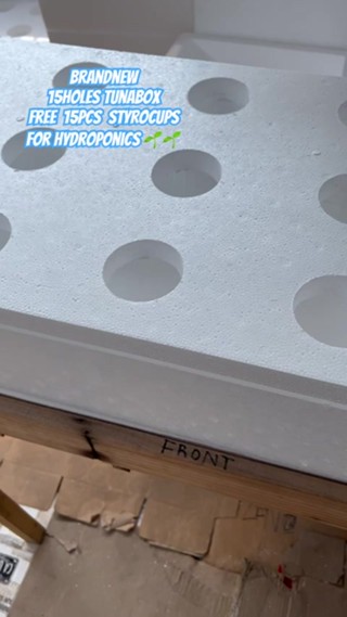 TUNA BOX (15 HOLES) - FREE 15PCS STYRO CUPS (WITH SLIT) - BRANDNEW/FOR ...