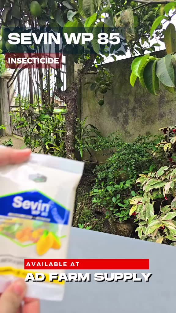 SEVIN POWDER ANTI TICK AND FLEA INSECTICIDE | Shopee Philippines