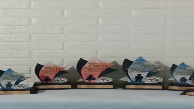 Chris Art'z Personalized Plaque and Trophy for Pageant made with sintra ...