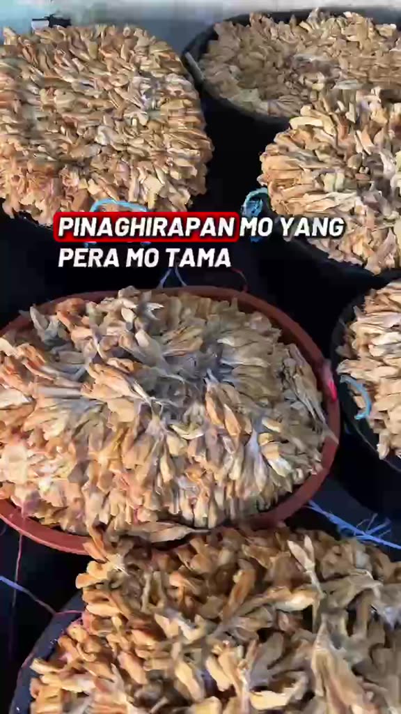 100g Premium Danggit White Dried Fish - Authentic Danggit from Cebu ...