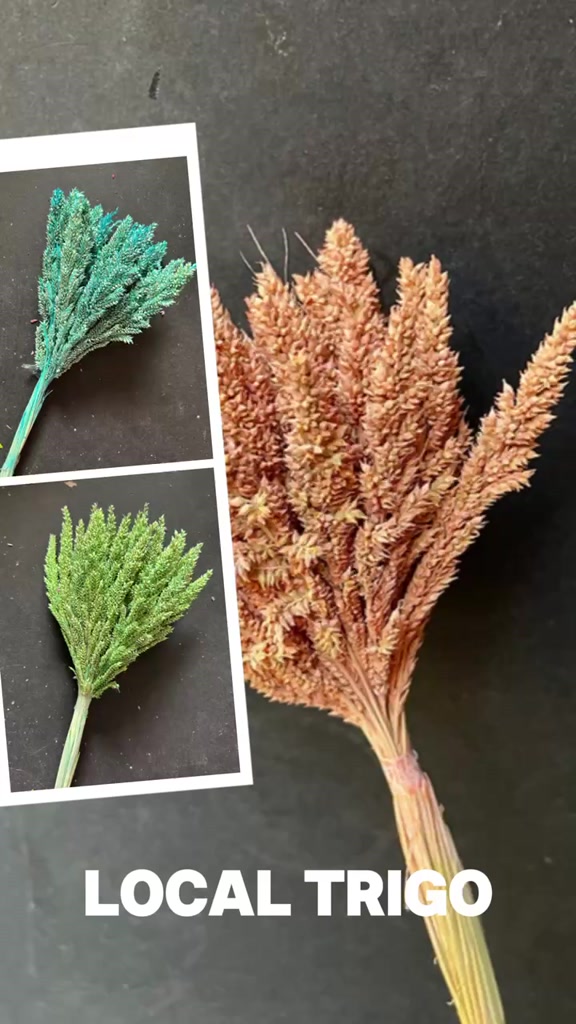 Local Dried Trigo sold per bundle | Shopee Philippines