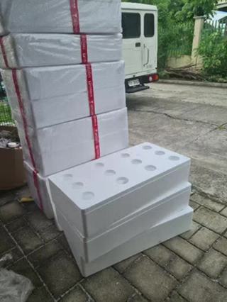 2025 Hydroponics Tuna Box 35"x17"x 7.5" FREE STYROCUPS - for gardening ...