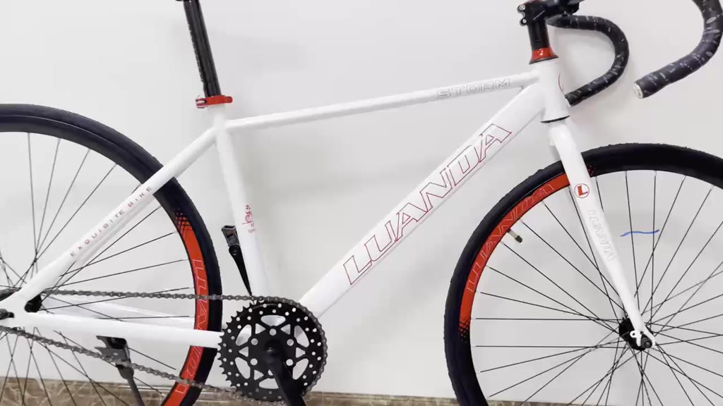 LUANDA Fixie Bikes High Carbon Steel Bike Road Bike Alloy Wheels 700× ...