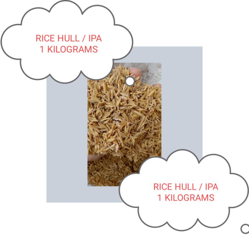 2 KILOGRAMS RICE HULL IPA FOR PLANTS | Shopee Philippines