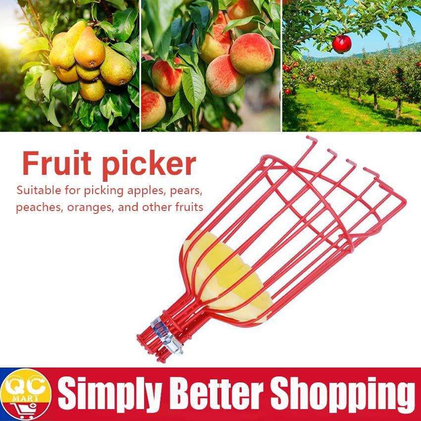 Fruit Picker 260cm Adjustable Deep Basket Convenient Harvesting Fruit ...