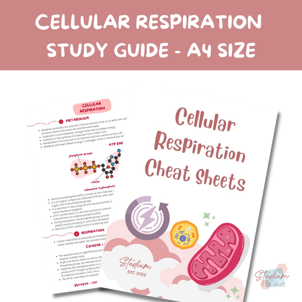 Biochem Cellular Respiration Cheat Sheets – Pharmacy Reviewer, Medicine ...