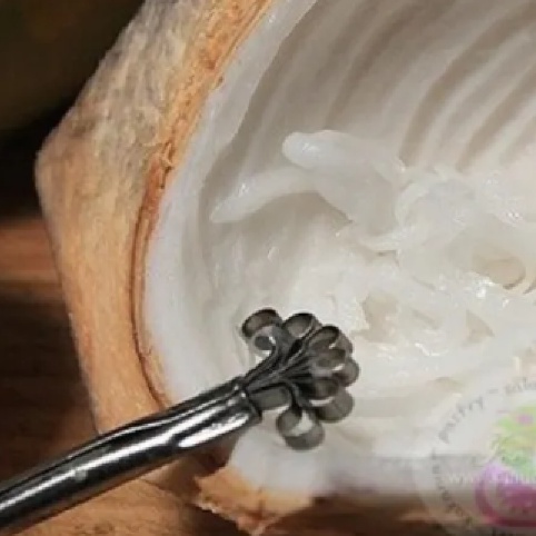 Coconut, Melon Scraper with Spoon Grater Scraping Coconut (Pangkayod ng ...