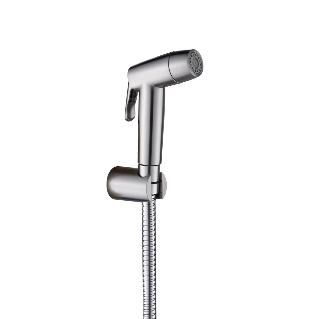 AXIS Bidet Set Multi Setting ABS Stainless Steel Hose AXS81A8002S ...