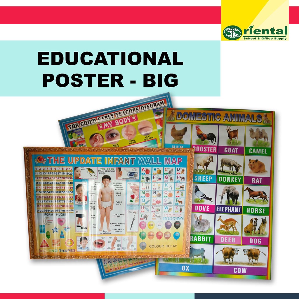 Educational Posters for Kids / Big Size for walls and boards / Sold per ...