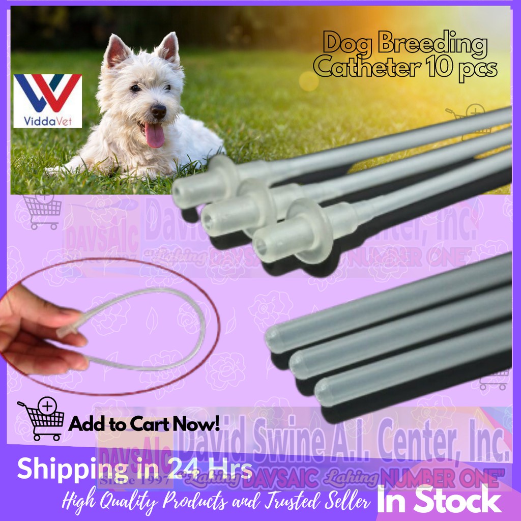 10 Pcs Disposable AI Catheter For Dog & Goat Artificial Insemination ...