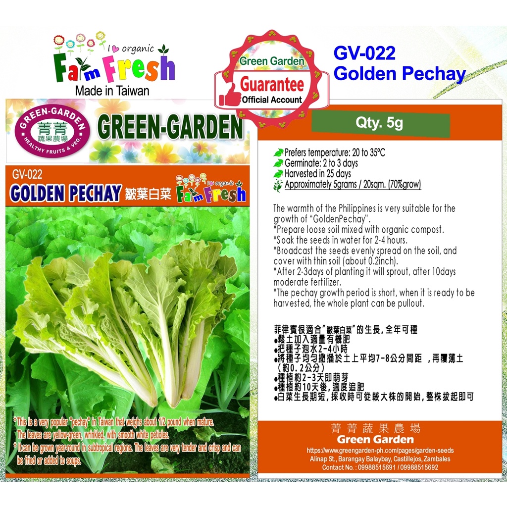 Green Garden Vegetable Seeds (GV-022 Golden Pechay) | Shopee Philippines