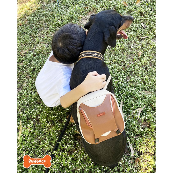 Ruffsack Dog Backpack Reed Cotton and Leatherette Small and Medium ...