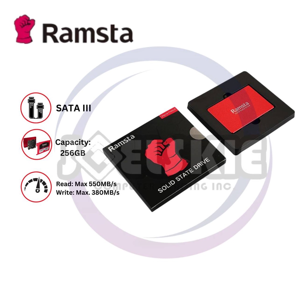 Ramsta 256gb Solid State Drive (SSD) | Shopee Philippines