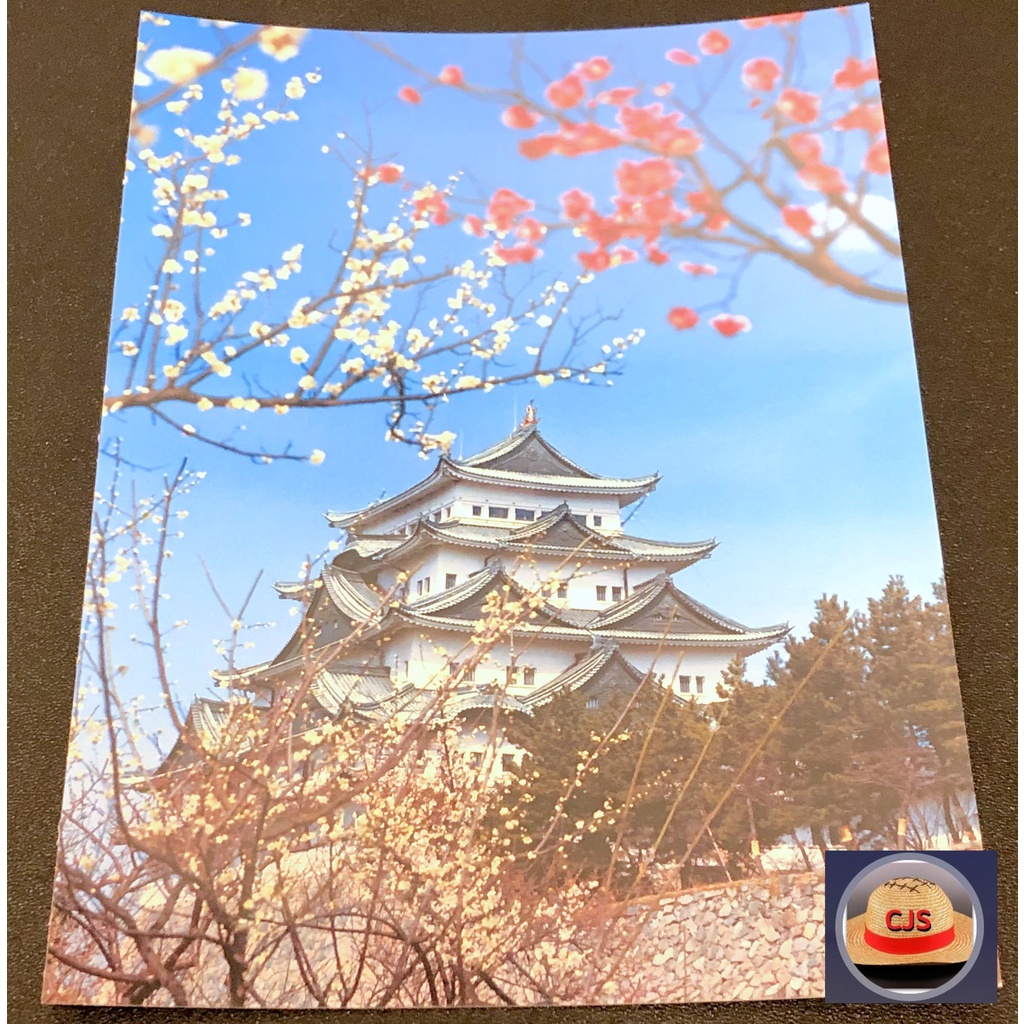 Postcard Nagoya Castle with Plum Ume Japanese Letters [Direct from ...