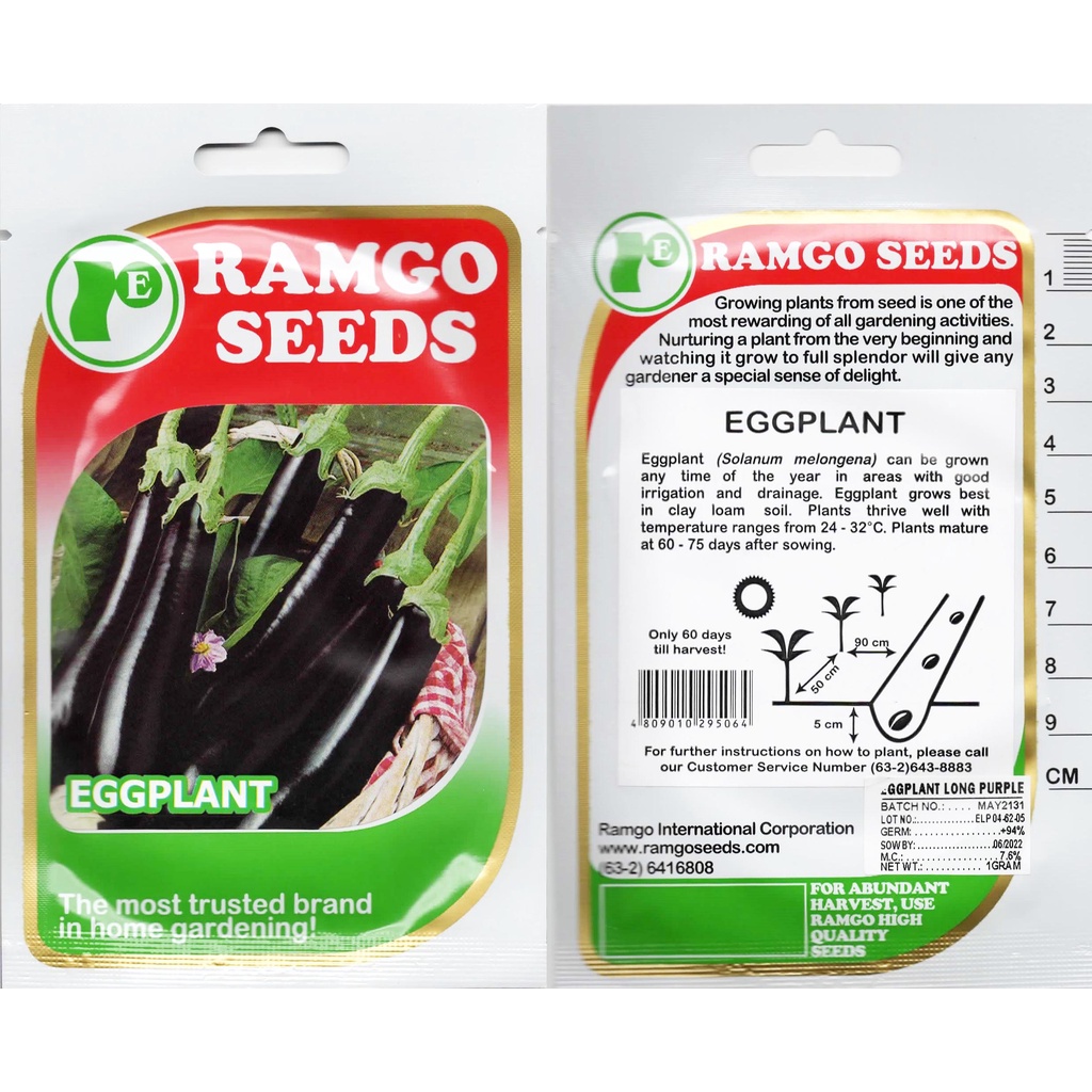 Ramgo Seeds Eggplant Long Purple 0.5g (Original Pack) GDSFPH_S4 ...
