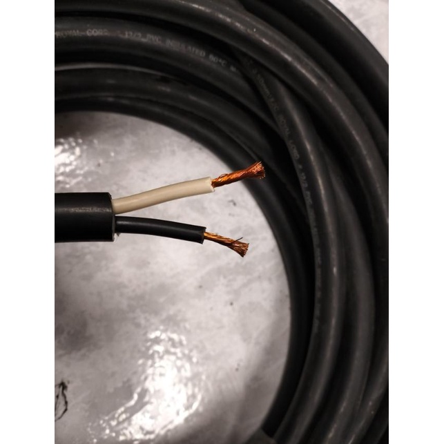 Allied Wire type royal cord 12/2 3.5mmx2C (13 meters) | Shopee Philippines