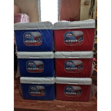 Orocan Mini Ice Box Chest Insulated Cooler 5 - Liters with Handle Color ...