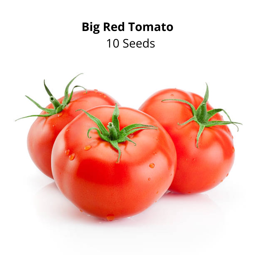 Big Red Tomato 10 seeds per pack | Shopee Philippines