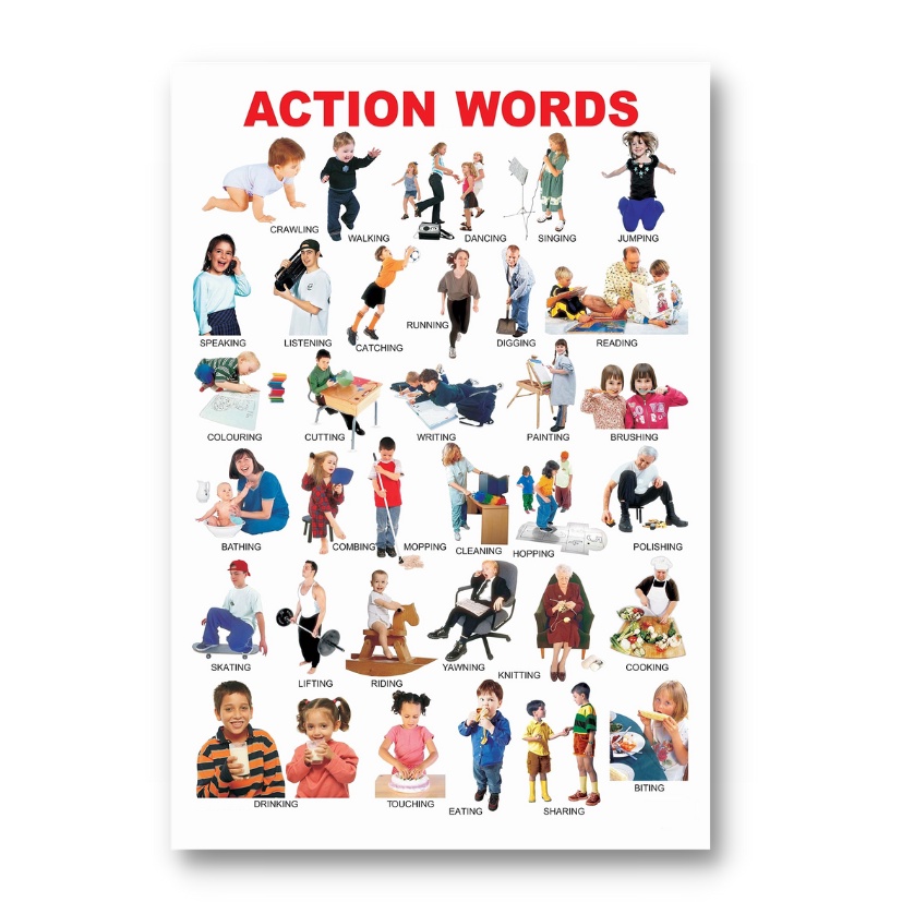 Laminated Action Words Charts, Verbs Charts, Daily Routine Charts for ...