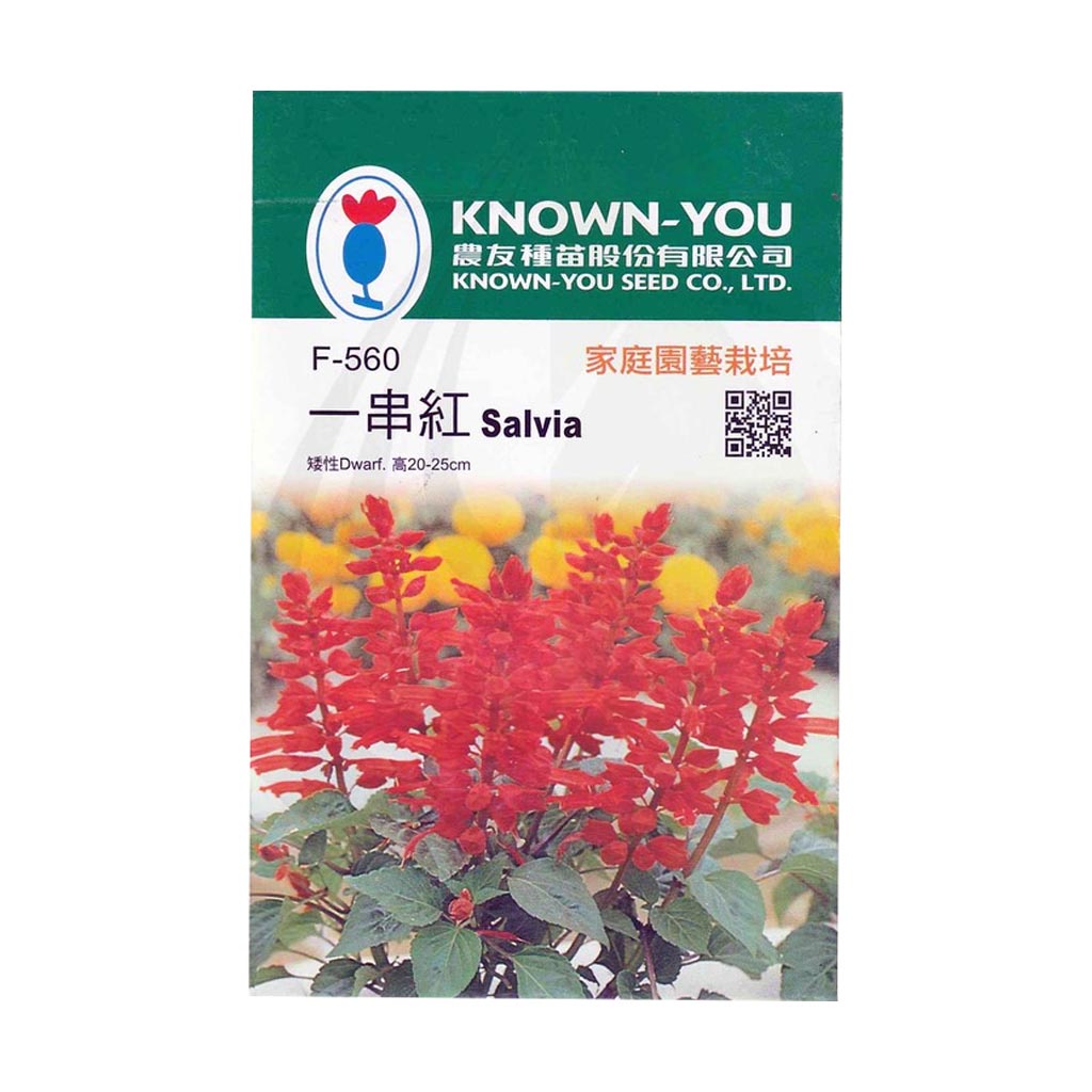 Known You Flower Seeds Salvia Dwarf Red F-560 KECORP_S1 | Shopee ...