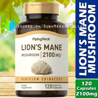 lions mane - Best Prices and Online Promos - Jan 2024 | Shopee Philippines