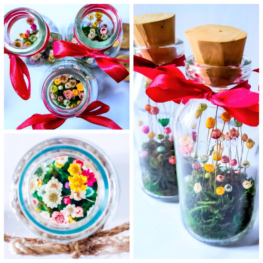 𝐑𝐞𝐚𝐥 𝐂𝐡𝐫𝐲𝐬𝐚𝐧𝐭𝐡𝐞𝐦𝐮𝐦 𝐃𝐫𝐢𝐞𝐝 𝐅𝐥𝐨𝐰𝐞𝐫 𝐓𝐨𝐤𝐞𝐧𝐬 𝐆𝐢𝐟𝐭𝐬 (𝐋𝐚𝐬𝐭𝐬 𝐮𝐩 𝐭𝐨 𝟏𝟎 𝐘𝐞𝐚𝐫𝐬 ...