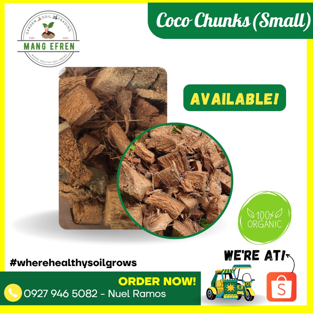 100% ORGANIC COCO CHUNKS/COCO CUBES/COCO CHIPS (4 LITER in Pack ...