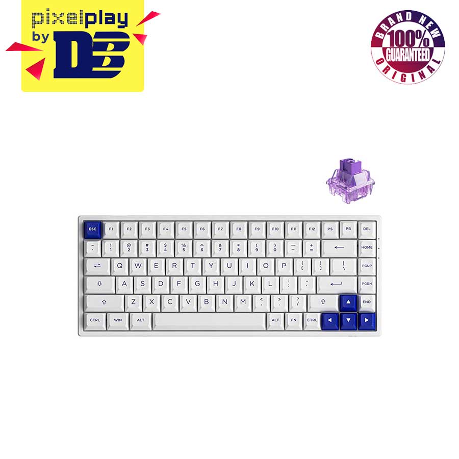 Akko Blue On White 3084B Plus Hot-Swappable Multi-Mode RGB Mechanical ...