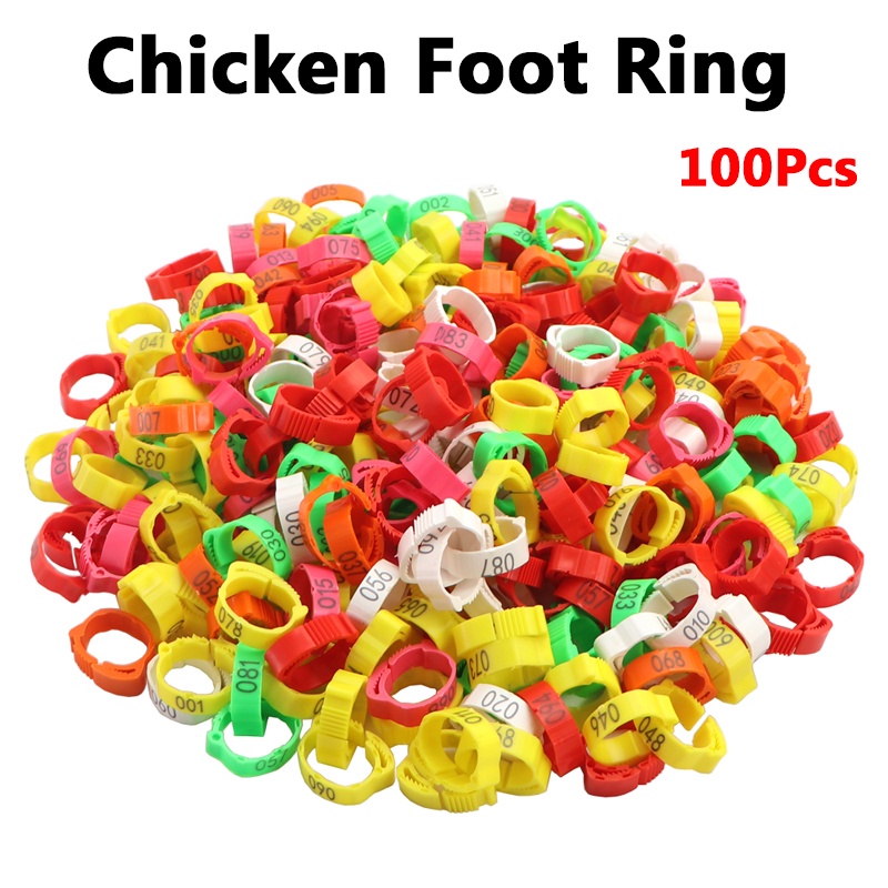 100Pcs Chicken Foot Ring Adjustable poultry feet tag Digital Label ...