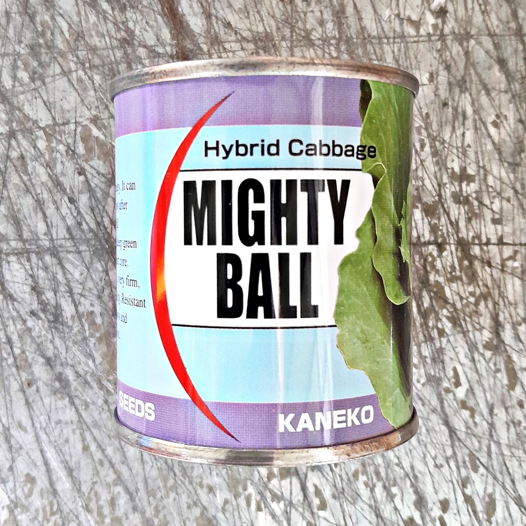 MIGHTY BALL F1 HYBRID CABBAGE (50 GRAMS) by KANEKO | Shopee Philippines