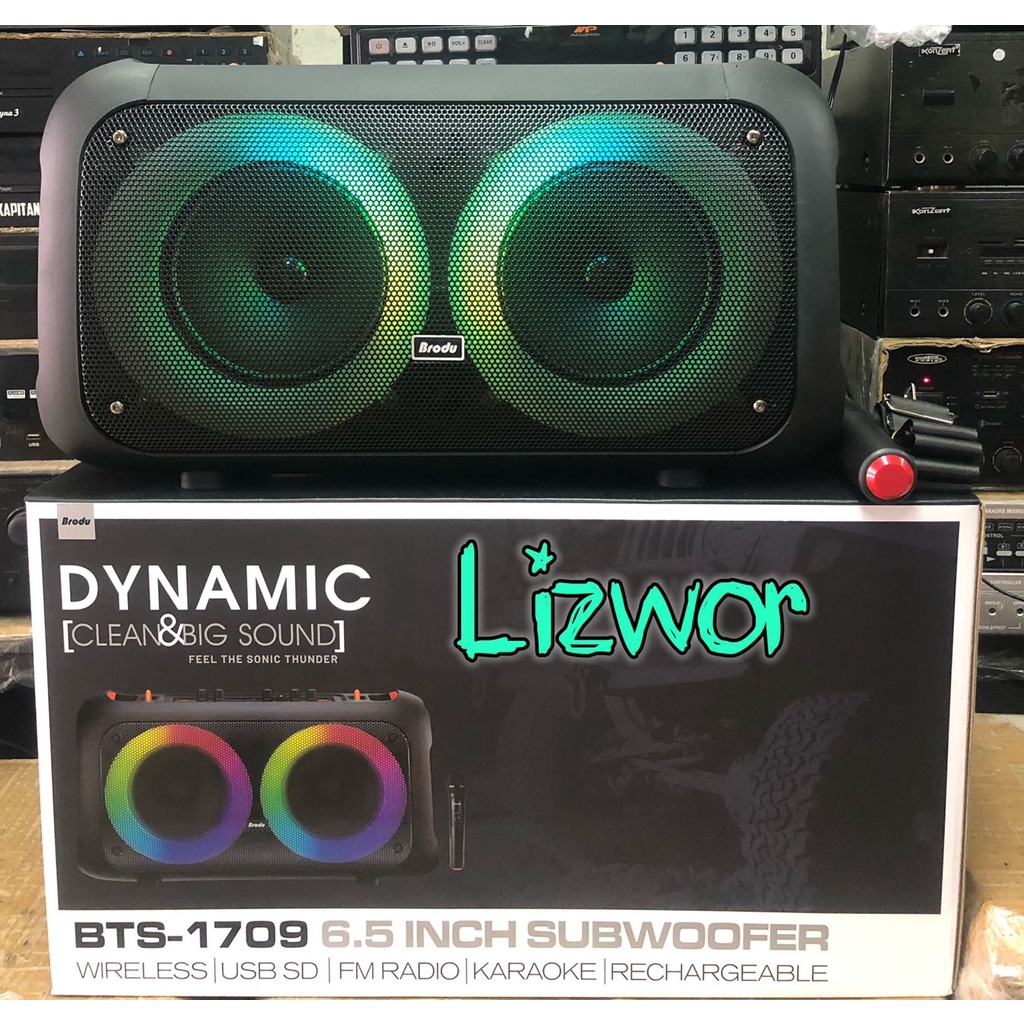 Brodu BTS-1709 portable bluetooth speaker with wireless microphone ...