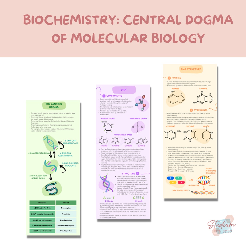 Biochemistry: Central Dogma Cheat Sheets - Pharmacy Reviewer, Medicine ...