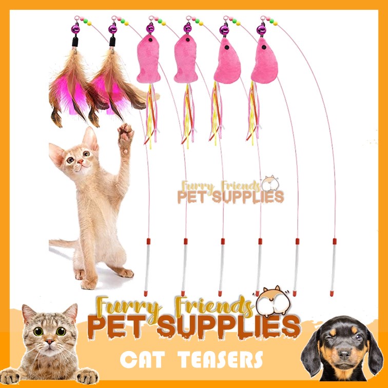 CAT TEASERS (Cat Toys) | Shopee Philippines
